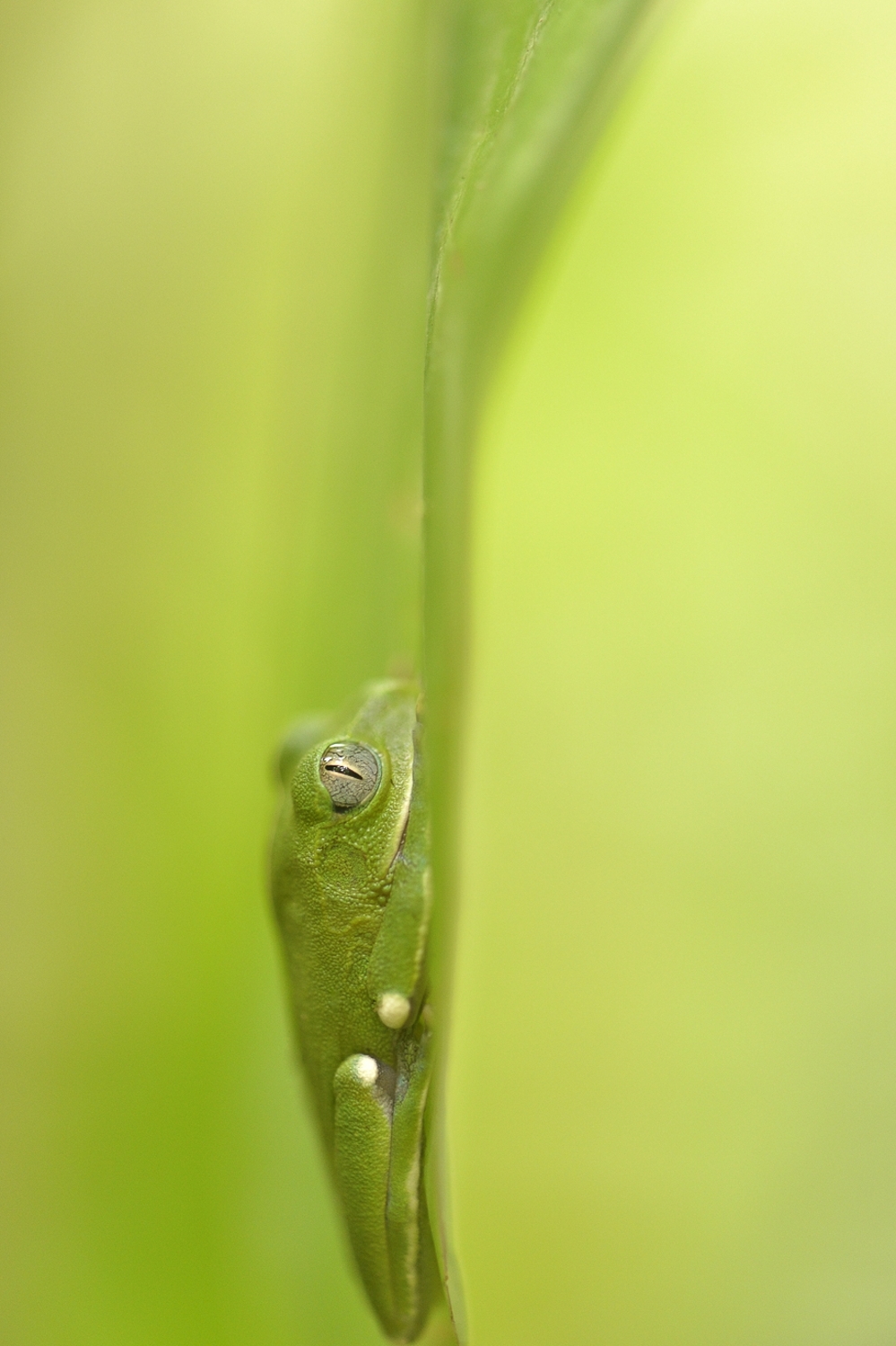 Biodiversity - Frédéric Demeuse