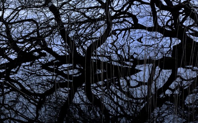 Outdoors inspirations - Frédéric Demeuse